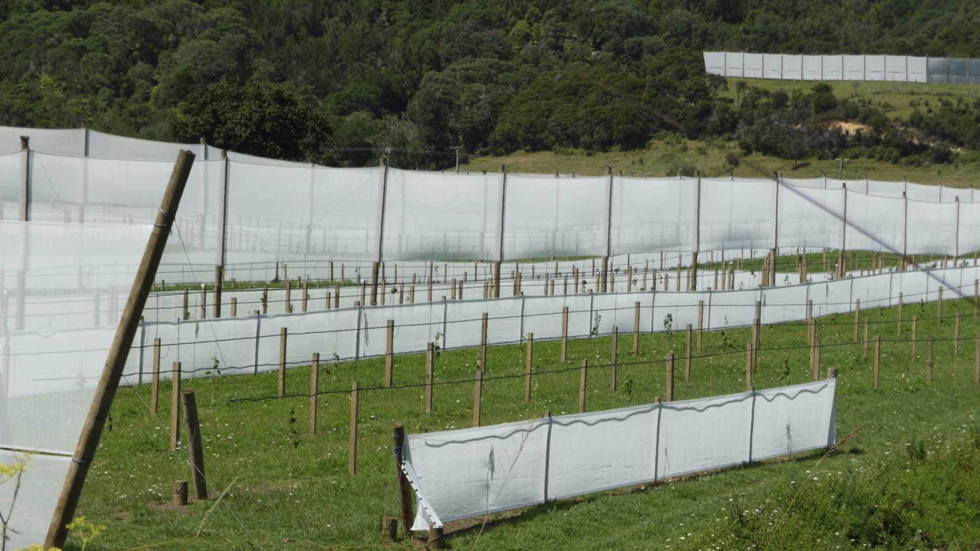 Crop Protection - Category