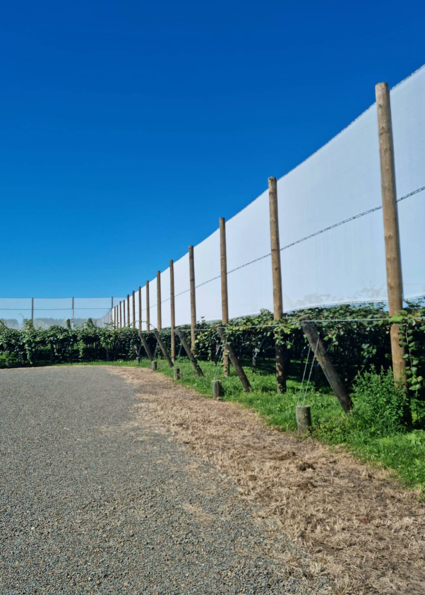 Ultimate Windbreak - Crop Protection | Empak