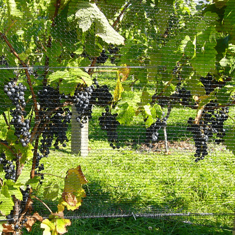 Zonenet™ and Vineside Net - Empak